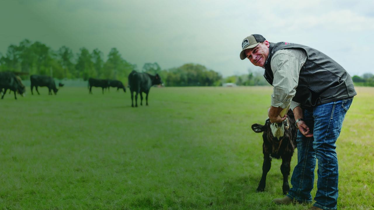 Homepage | Georgia Department of Agriculture