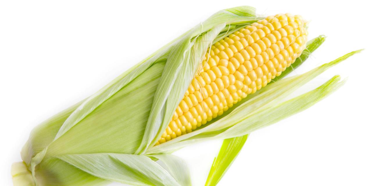 Georgia Corn Commission | Georgia Department of Agriculture