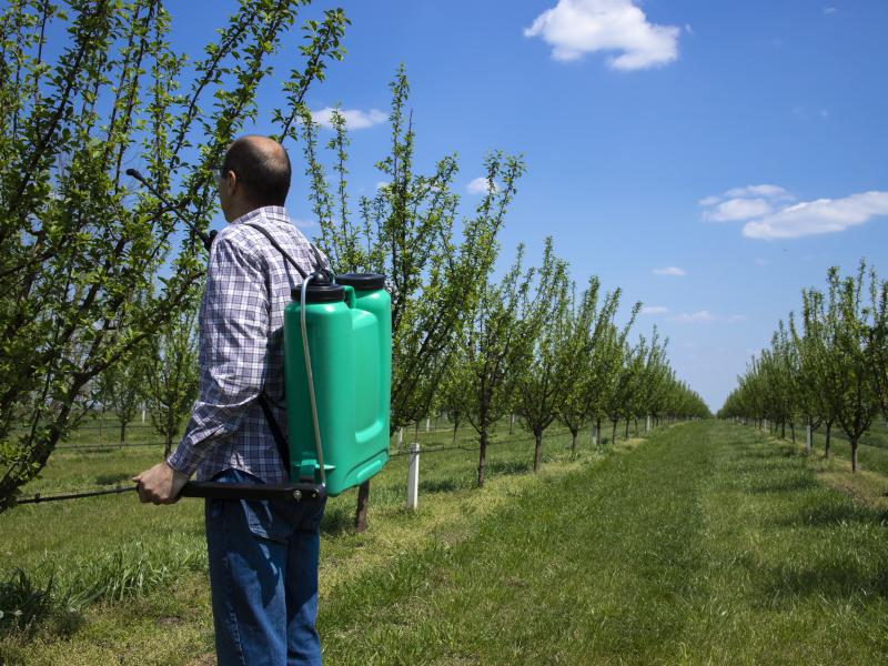 Pest Control | Georgia Department of Agriculture