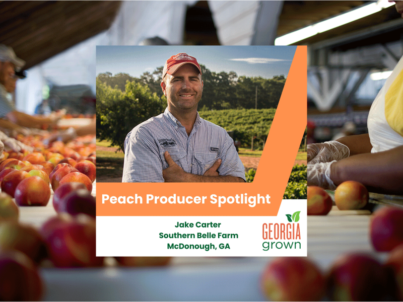Homepage | Georgia Department of Agriculture