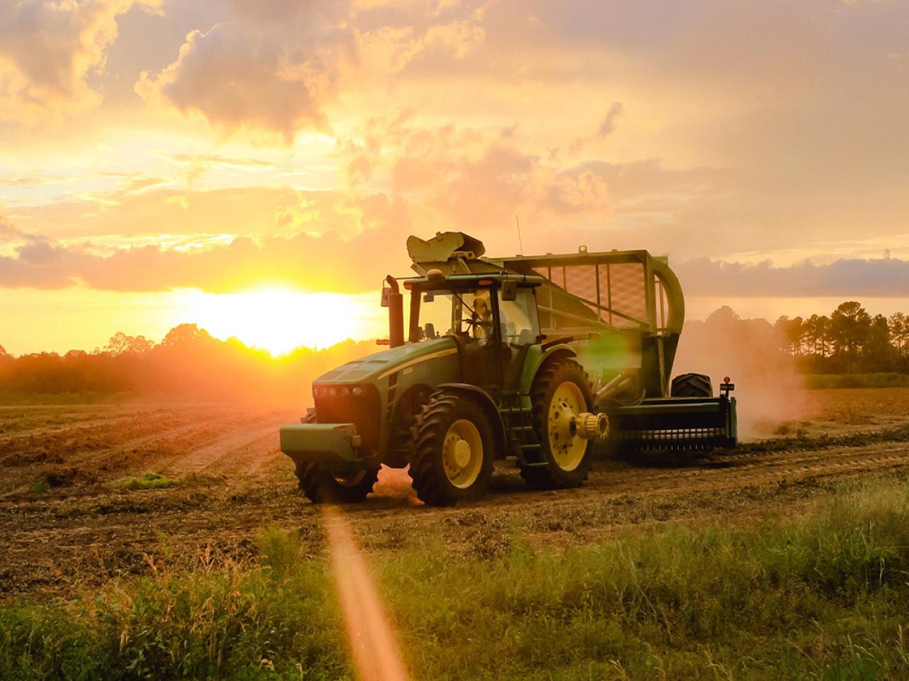 Homepage | Georgia Department of Agriculture