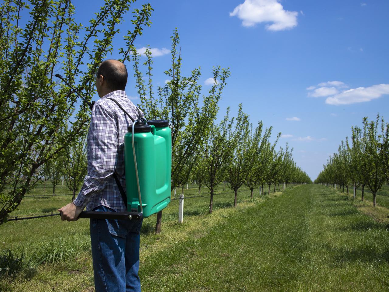Pest Control | Georgia Department of Agriculture